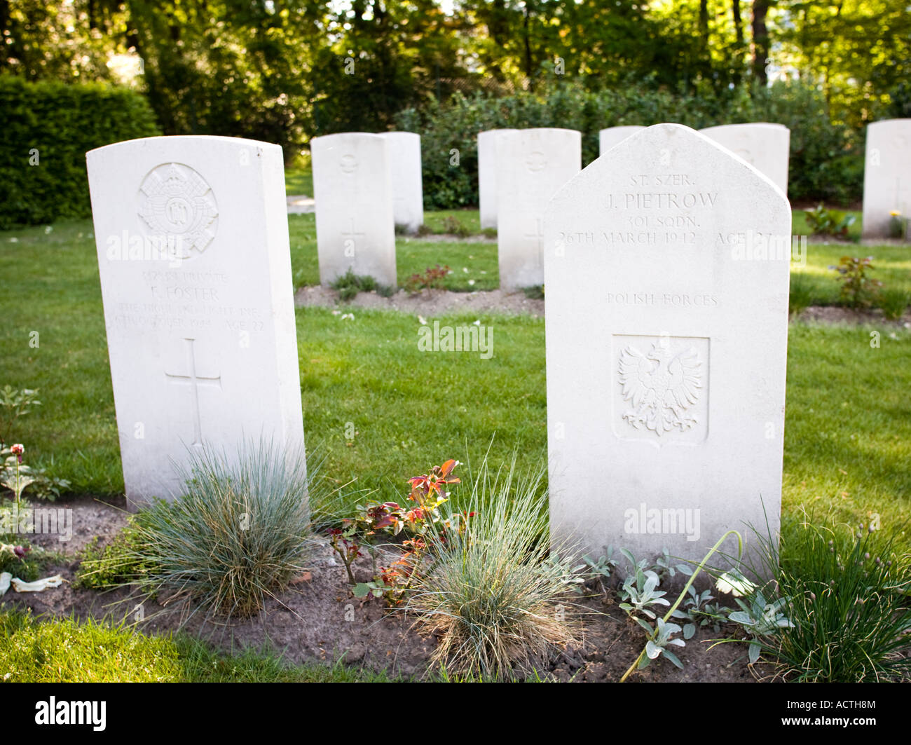 British and Polish War graves at the commonwealth military cemetery ...