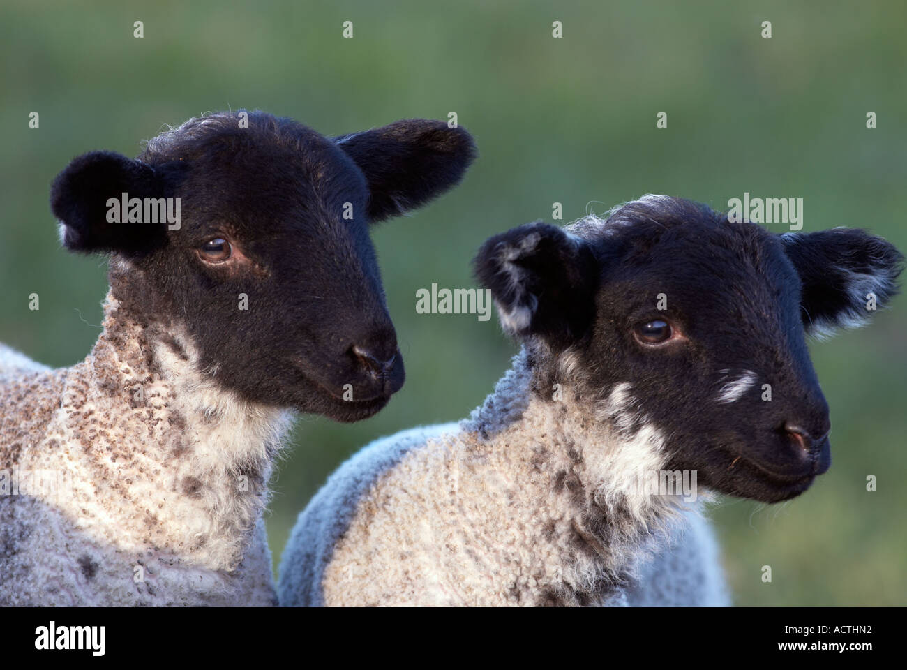Black faces hi-res stock photography and images - Alamy