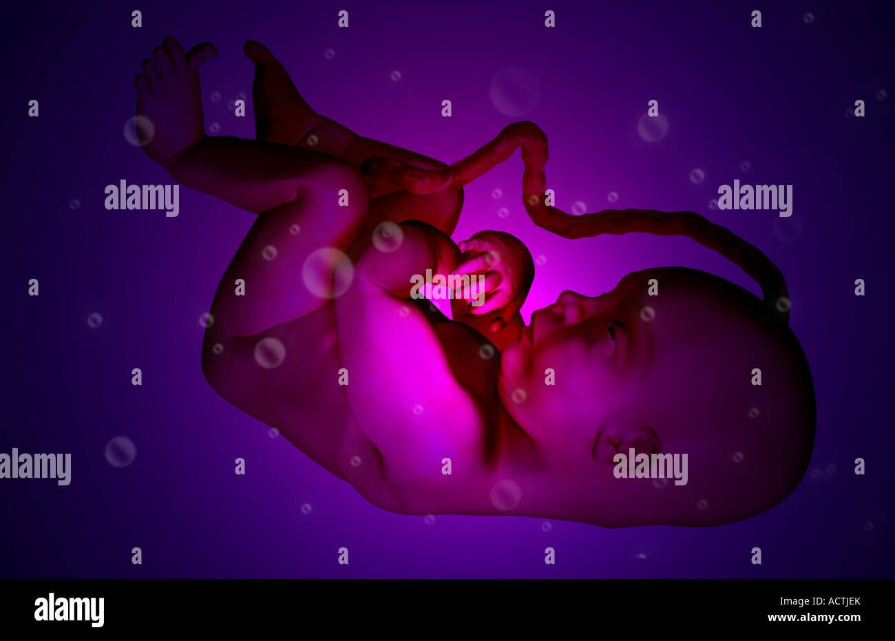 Human Embryogenesis High Resolution Stock Photography and Images - Alamy