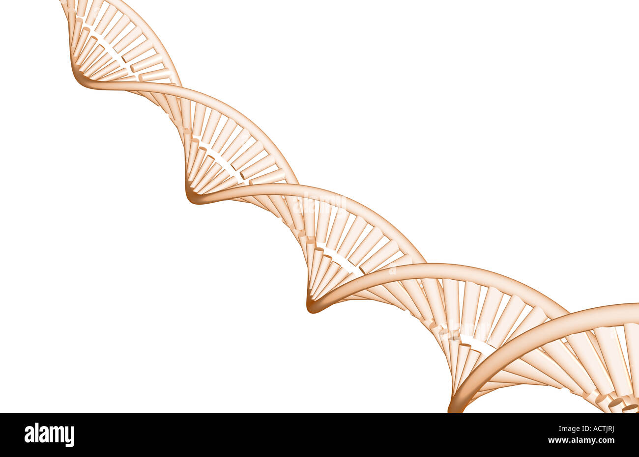 Dna backbone hi-res stock photography and images - Alamy