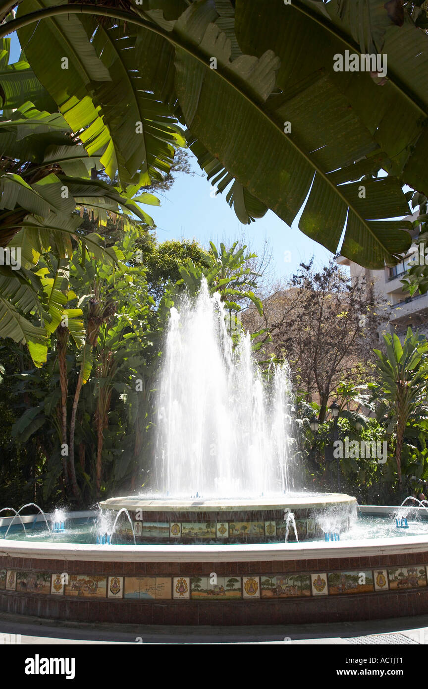 Ramon y cajal hi-res stock photography and images - Alamy