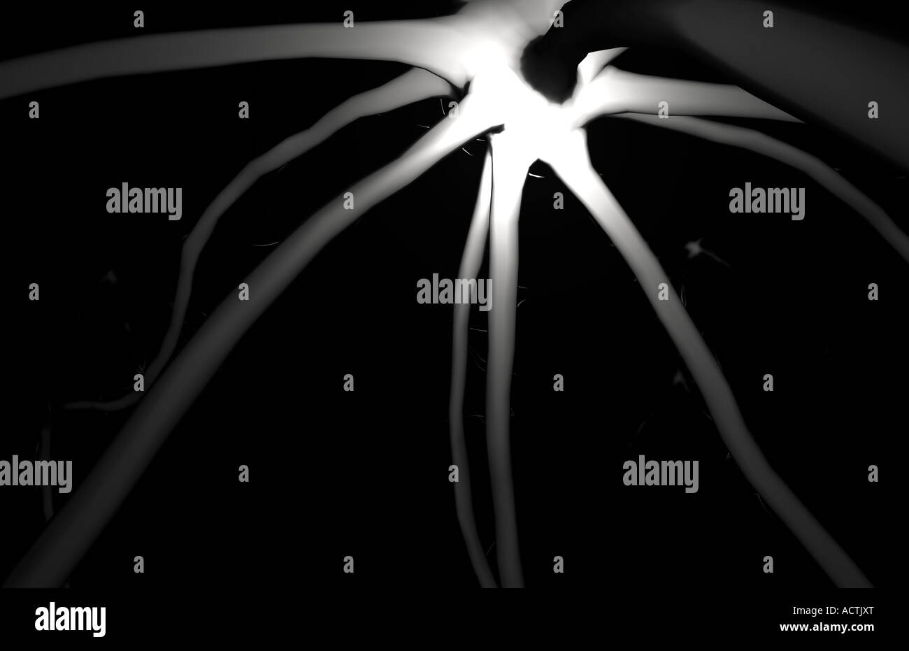 Neuron axons hi-res stock photography and images - Alamy