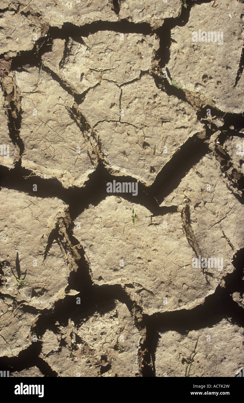 Detail from directly above of dried cracked earth Stock Photo - Alamy