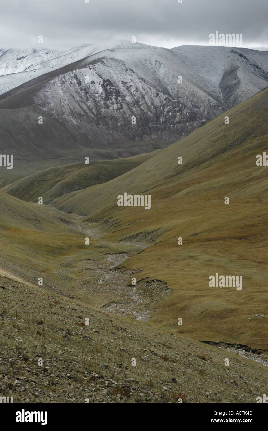 Steppe wide open valley and with fine snow covered mountains in light ...