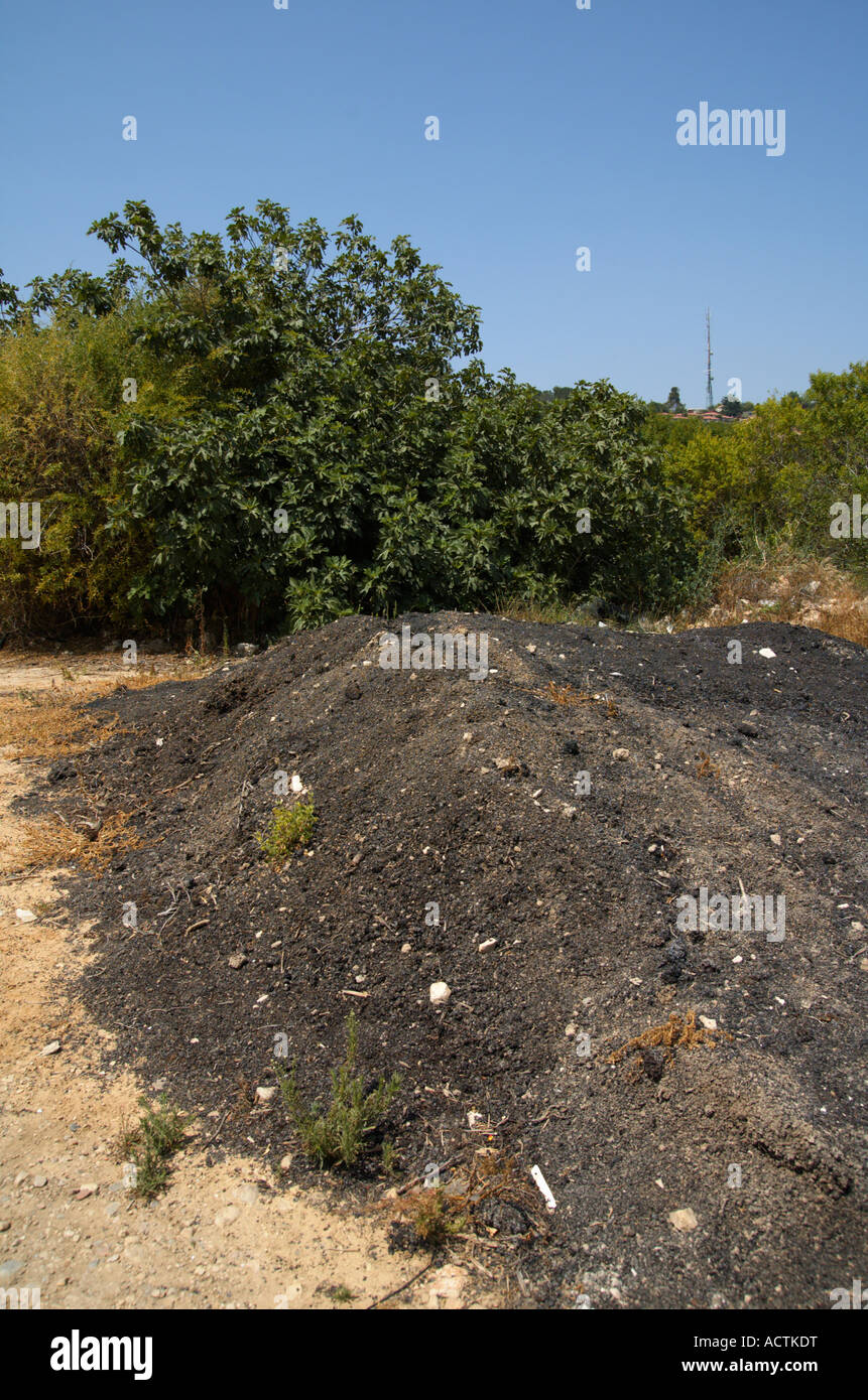 Grapes marc hi-res stock photography and images - Alamy