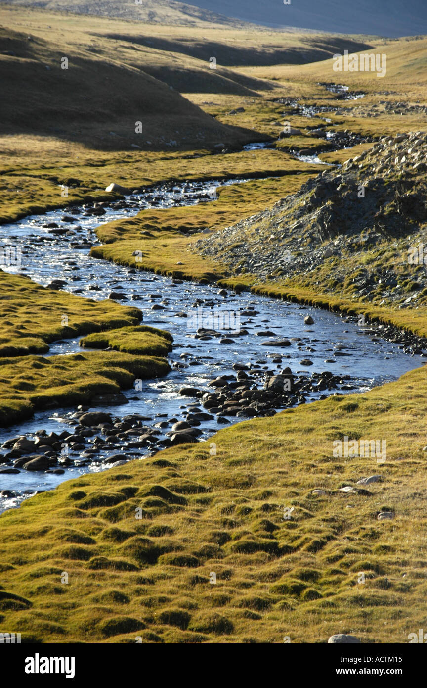 Blue shimmering river winds through the green steppe Kharkhiraa ...