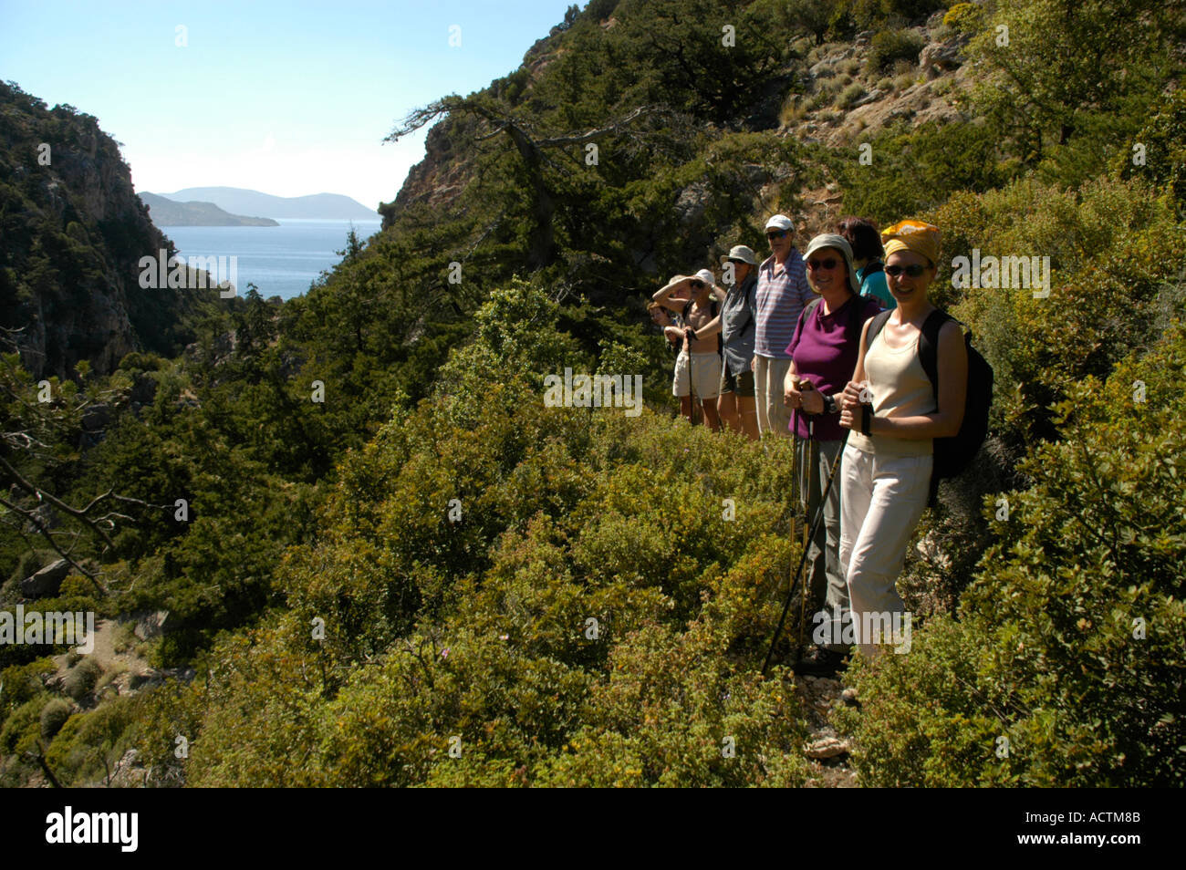 MR Hiking group standing on a path with a view througt a wild forested ...