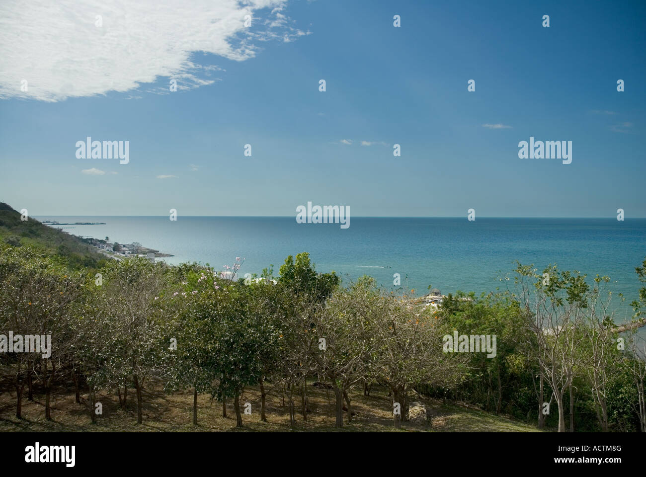 Panoramic view of the sea and trees of campeche mexico Stock Photo - Alamy