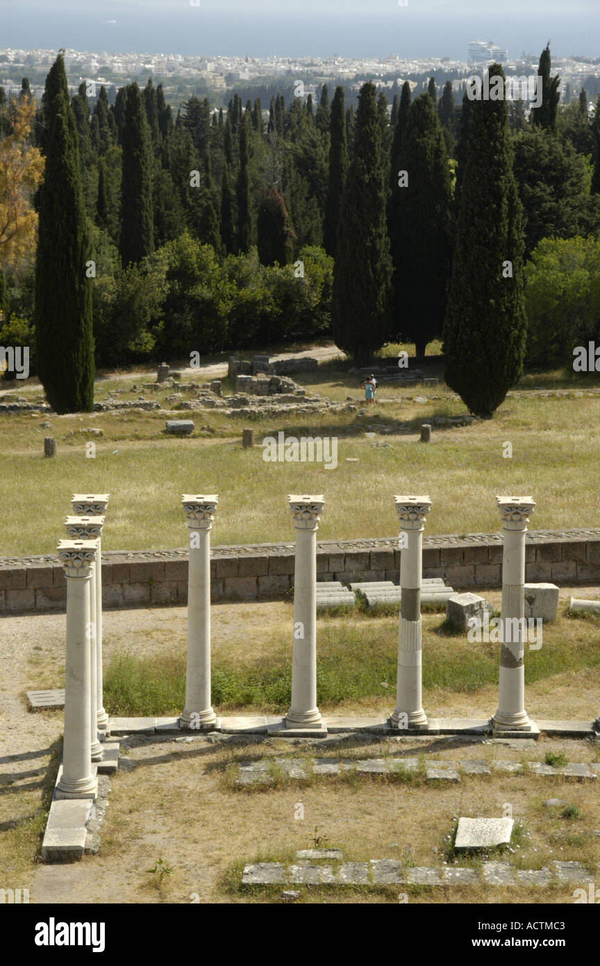 Ancient Greece Row of standing pillars and a forest of slim cypress ...
