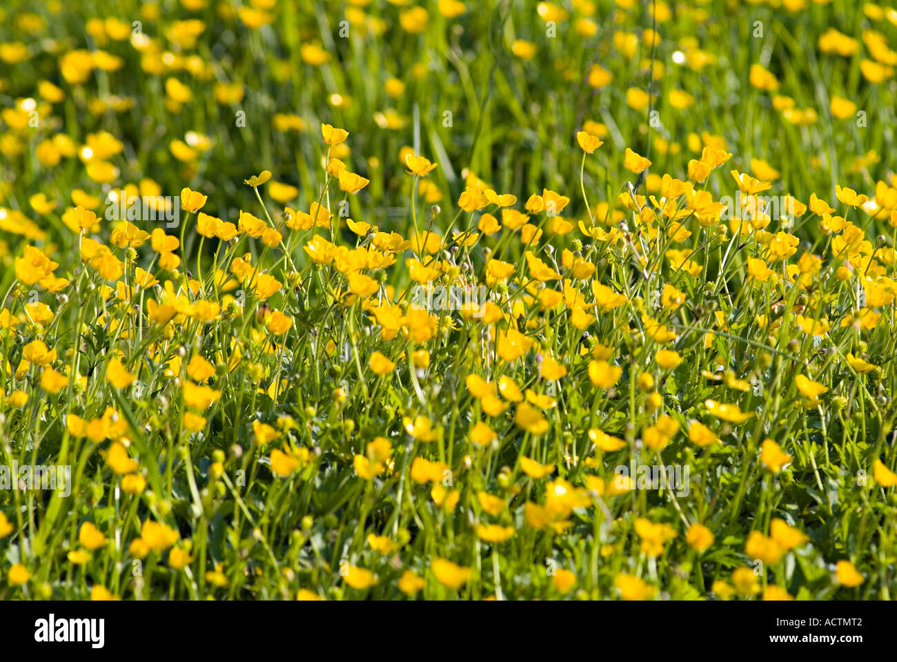 Set aside agriculture spring hi-res stock photography and images - Alamy