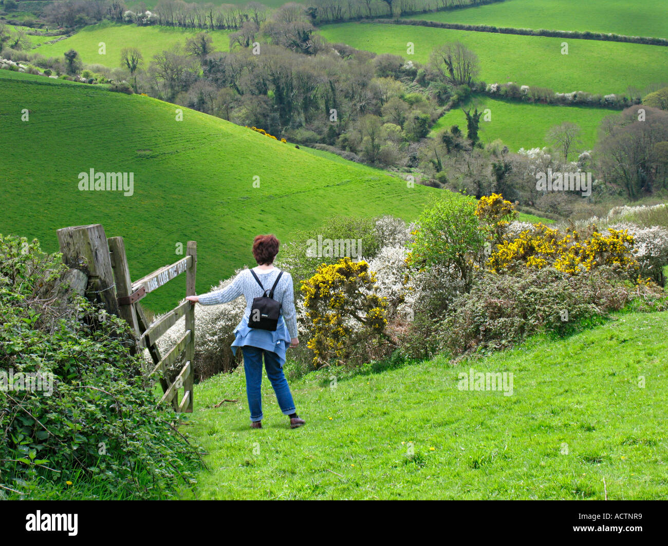 Female rambler by a five-bar gate on a country walk in the beautiful ...