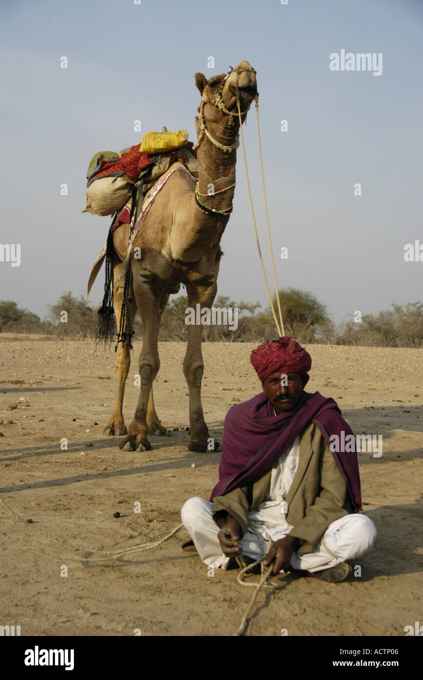 Packed camels hi-res stock photography and images - Alamy