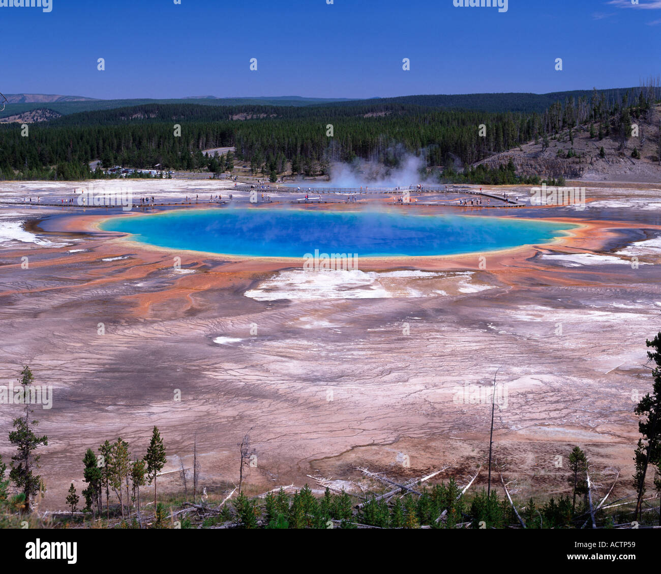 Jhbv hi-res stock photography and images - Alamy