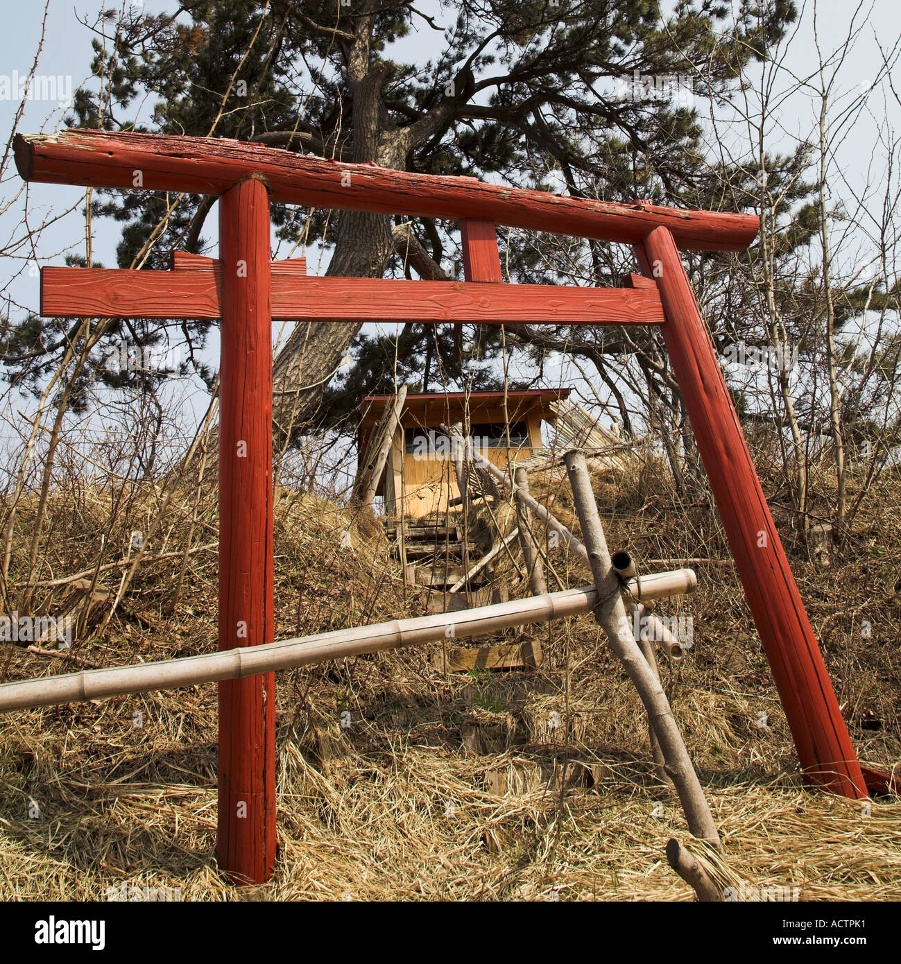 Old wooden torii gate, Japan Stock Photo - Alamy