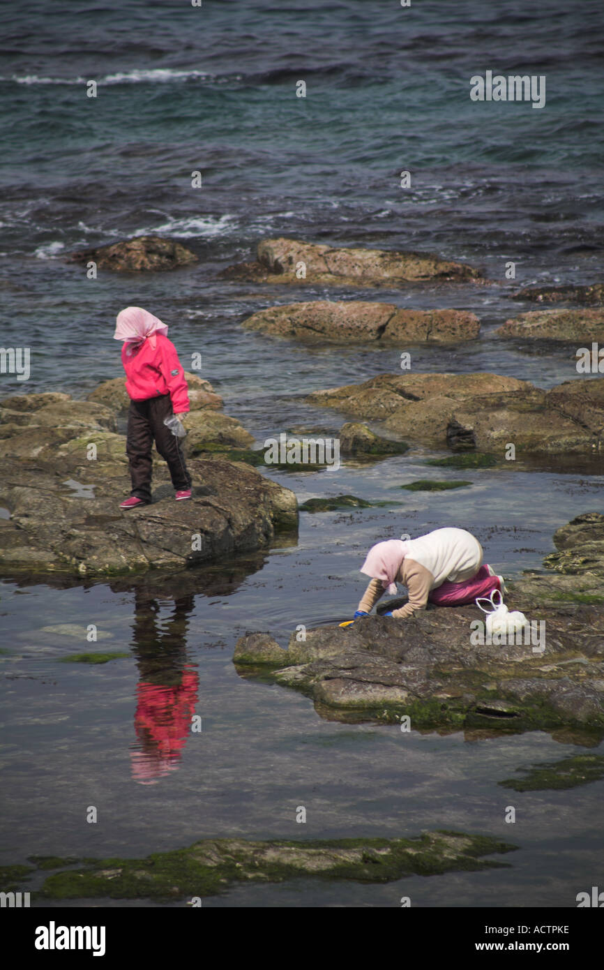 sea of japan fukaura coastline beach old japanese men and women collect ...
