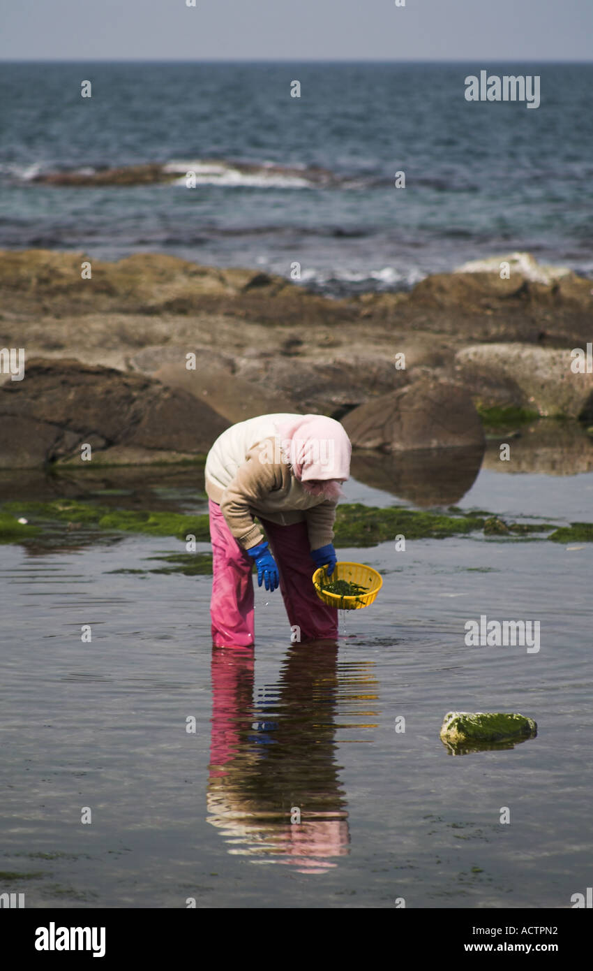 Japan aomori reflect hi-res stock photography and images - Alamy