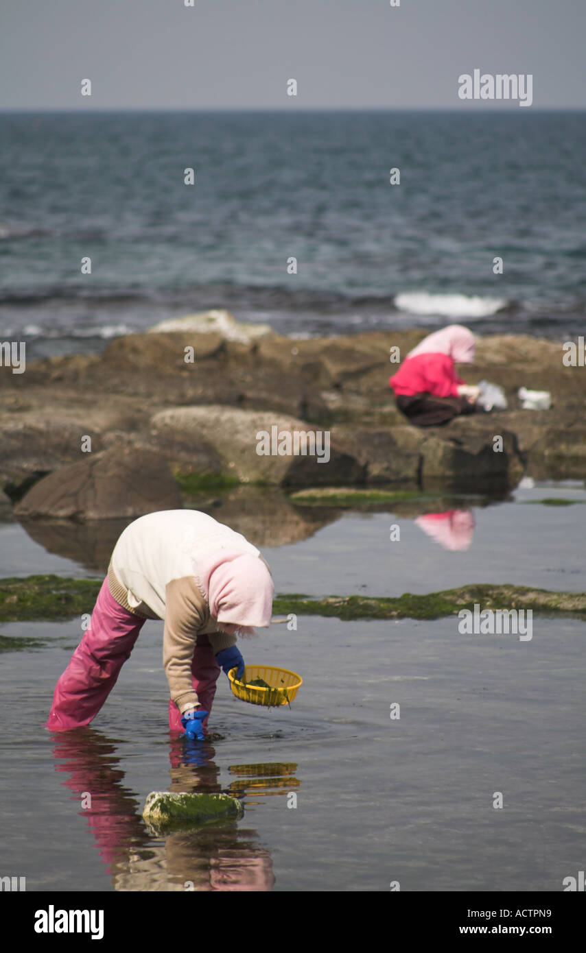 Old japanese men hi-res stock photography and images - Alamy