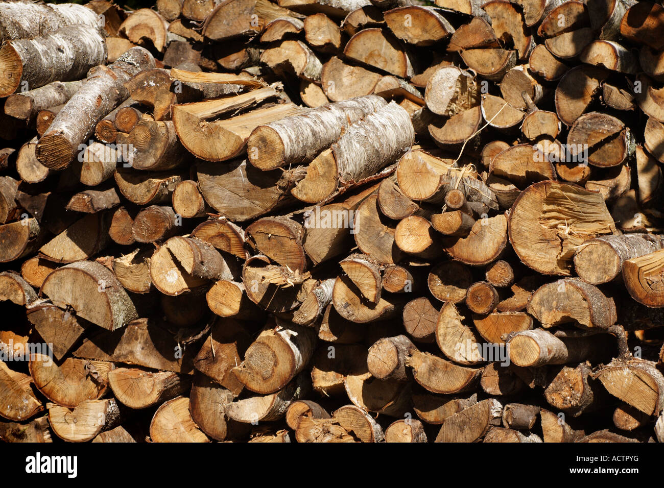 Rows of fire wood stacked side by side Stock Photo - Alamy