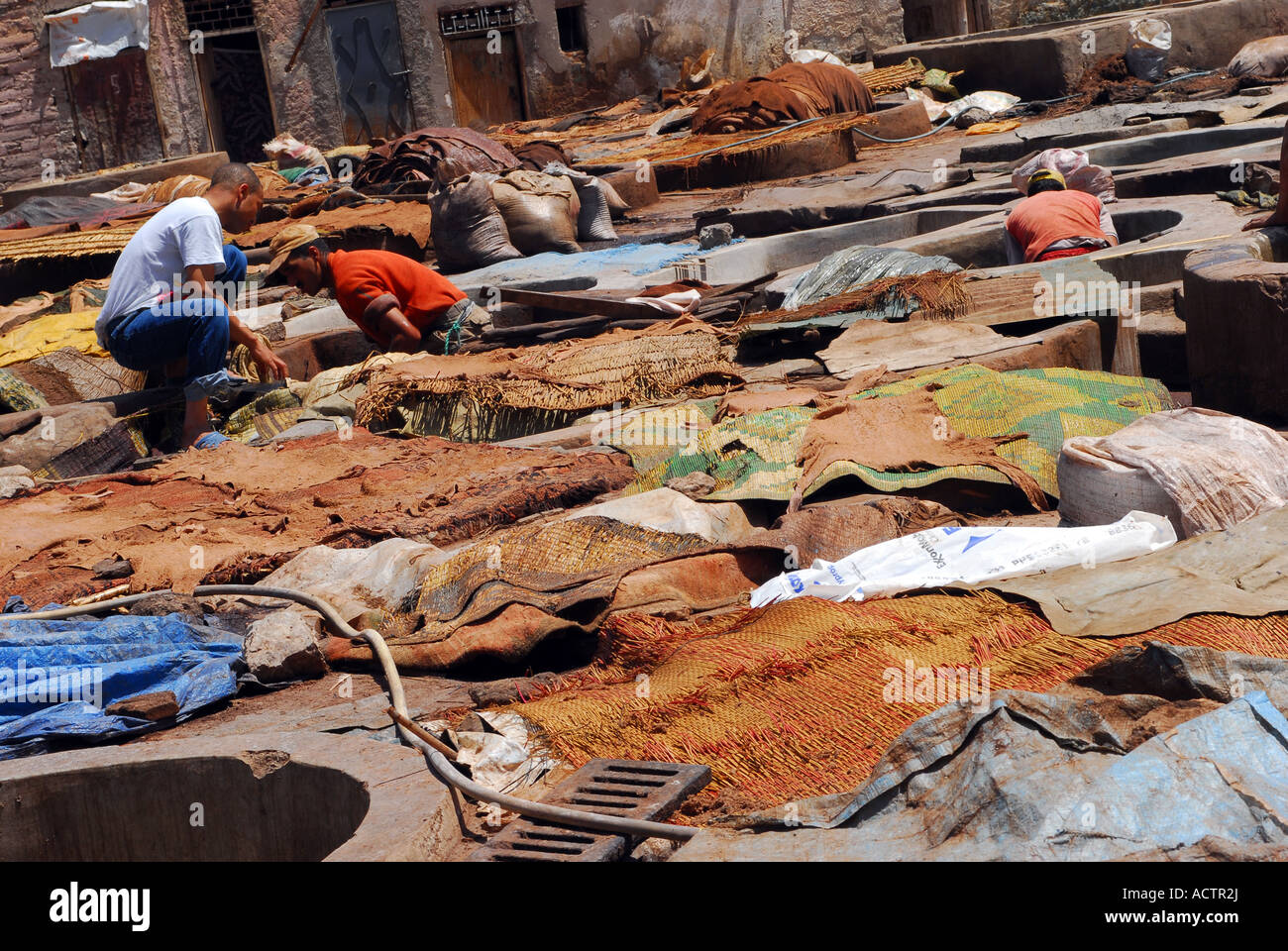 The tanneries, Marrakech Morocco Stock Photo - Alamy