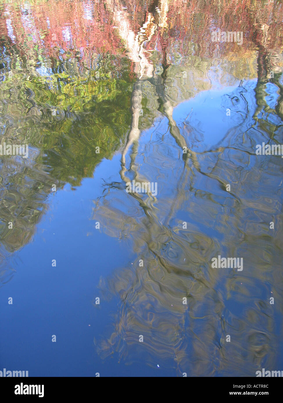 Kenwood Ladies Pond Hampstead Heath London UK Stock Photo - Alamy