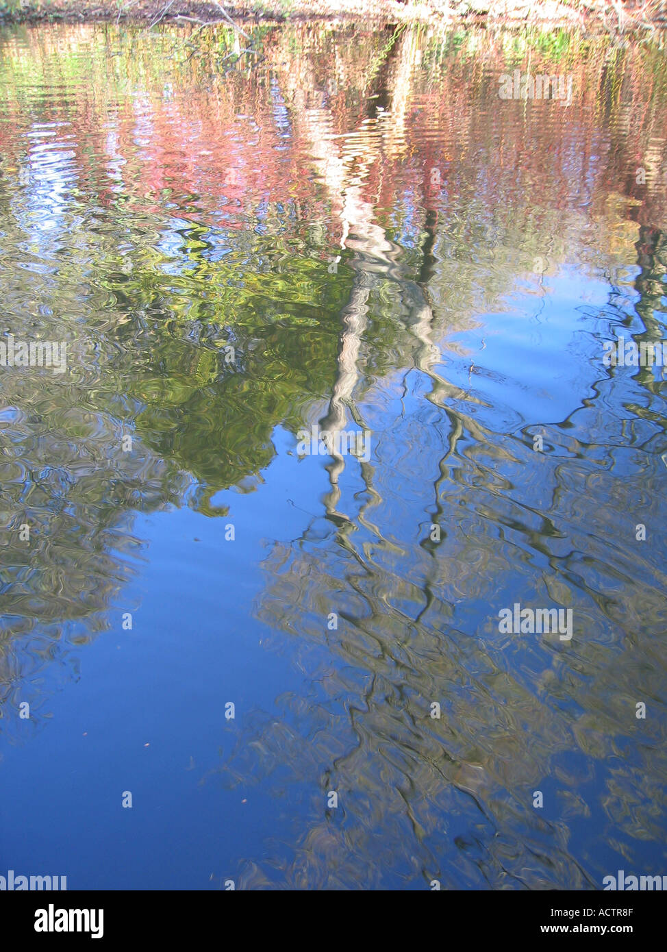 Hampstead heath ladies pond hi-res stock photography and images - Alamy