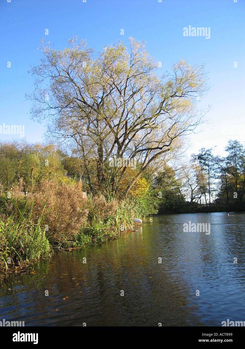 Kenwood Ladies Pond Hampstead Heath London UK Stock Photo - Alamy
