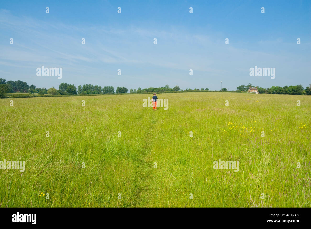 Footpath across a field Harefield England Stock Photo - Alamy
