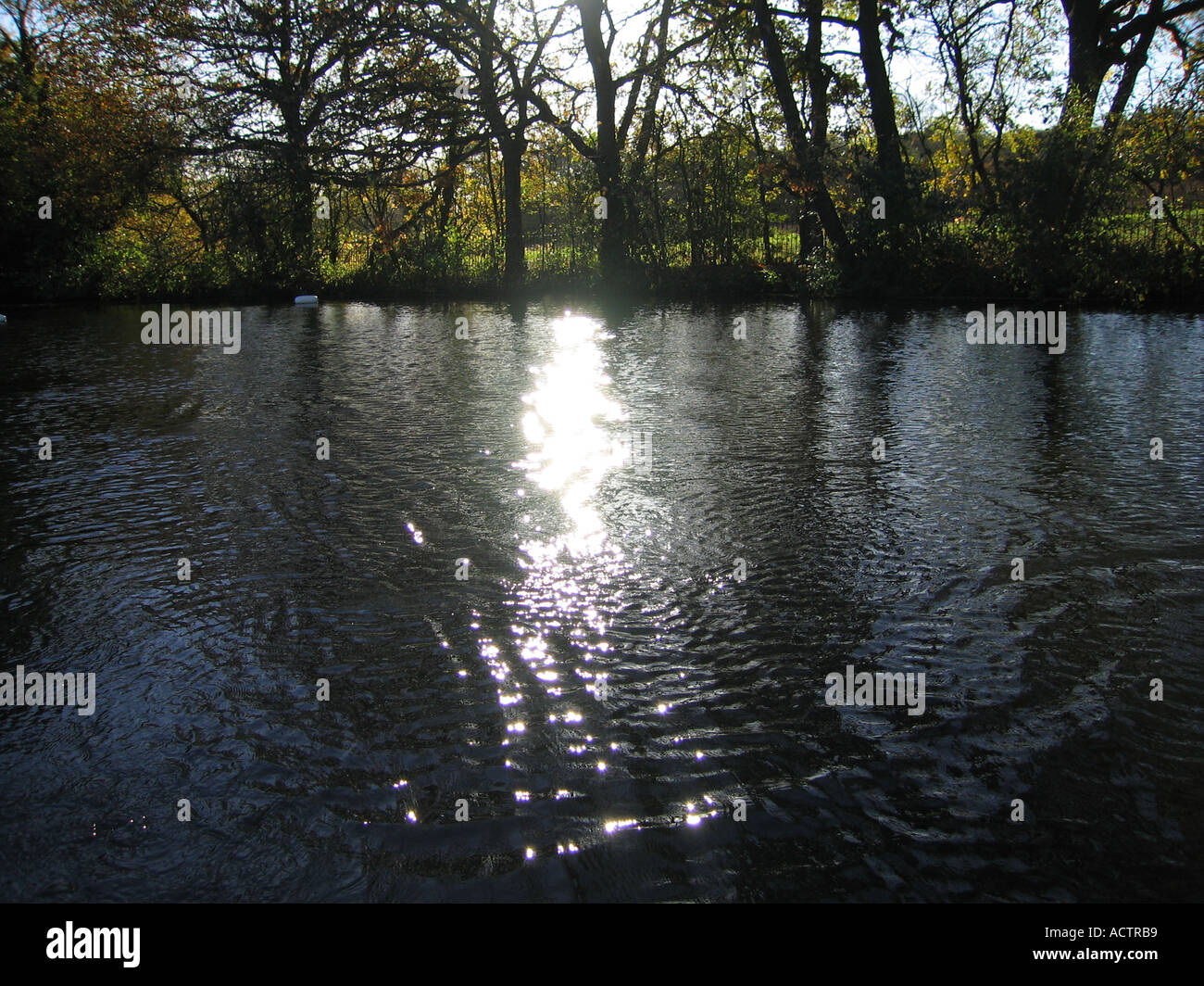 Kenwood Ladies Pond Hampstead Heath London UK Stock Photo - Alamy