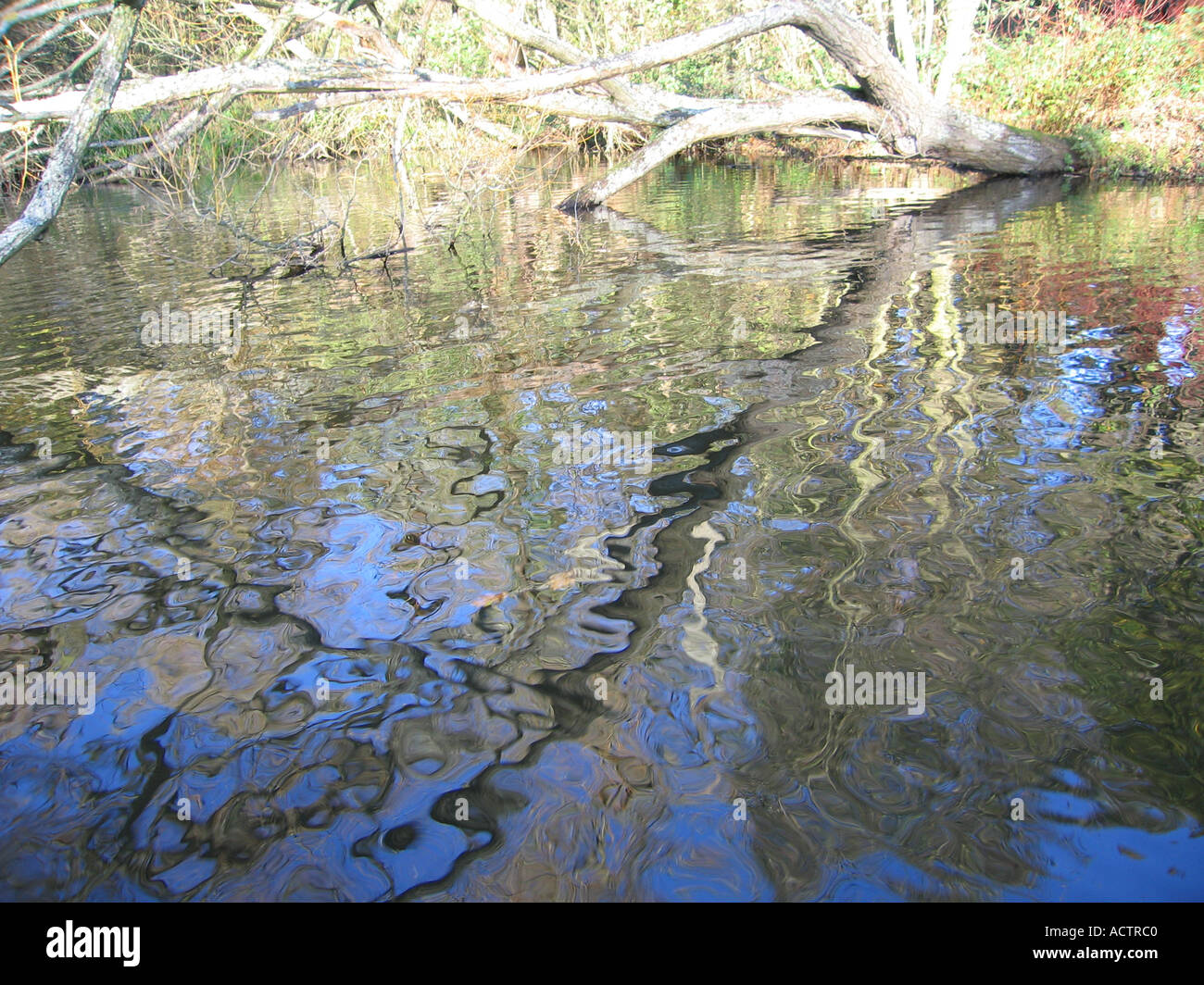 Kenwood Ladies Pond Hampstead Heath London UK Stock Photo - Alamy