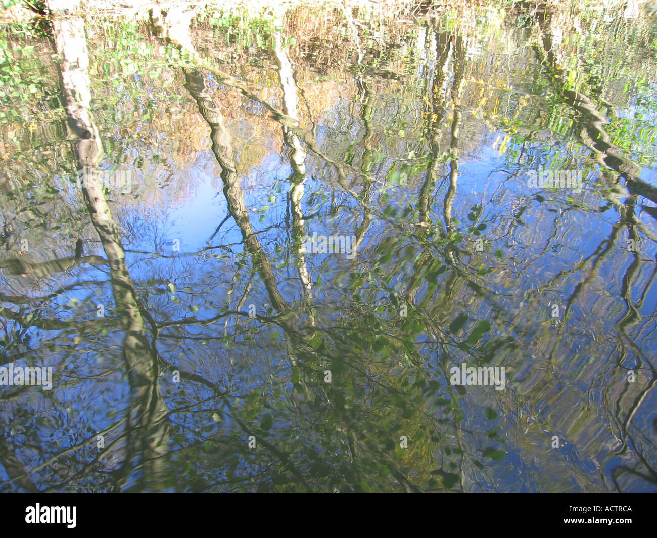 Kenwood Ladies Pond Hampstead Heath London UK Stock Photo - Alamy