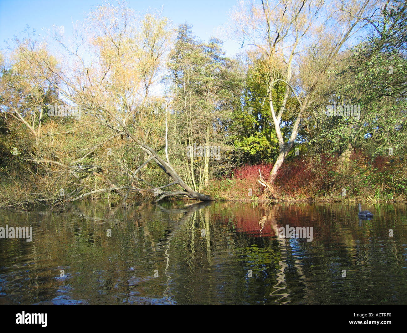 Hampstead heath ladies pond hi-res stock photography and images - Alamy
