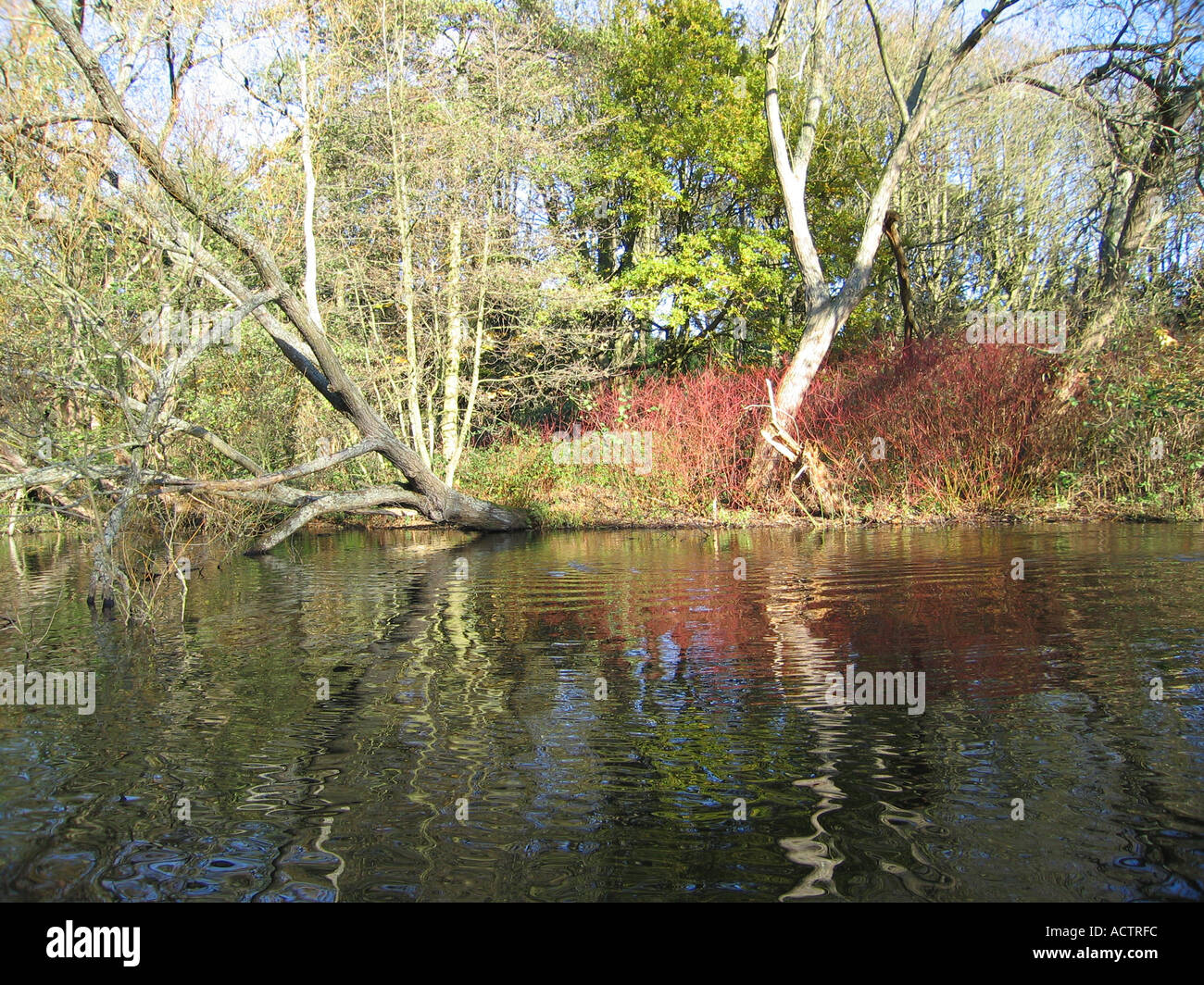 Hampstead heath ladies pond hi-res stock photography and images - Alamy