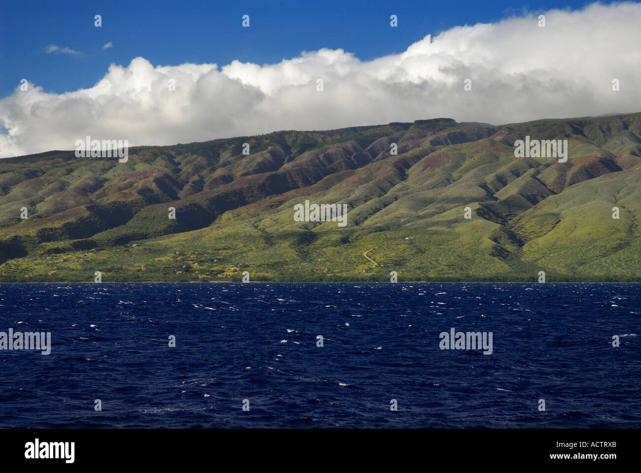 Molokai channel hi-res stock photography and images - Alamy