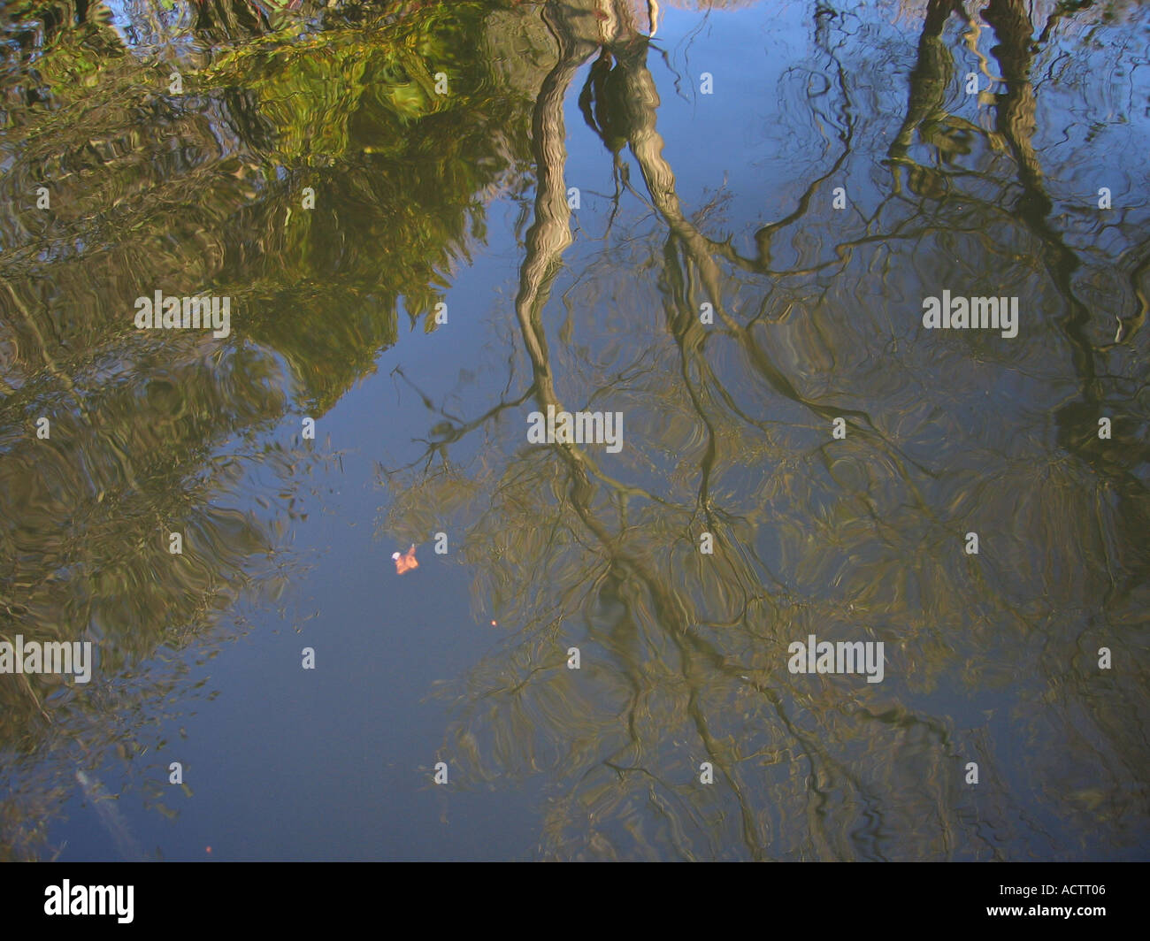 Autumn colours reflected in the still water of Kenwood Ladies Pond ...