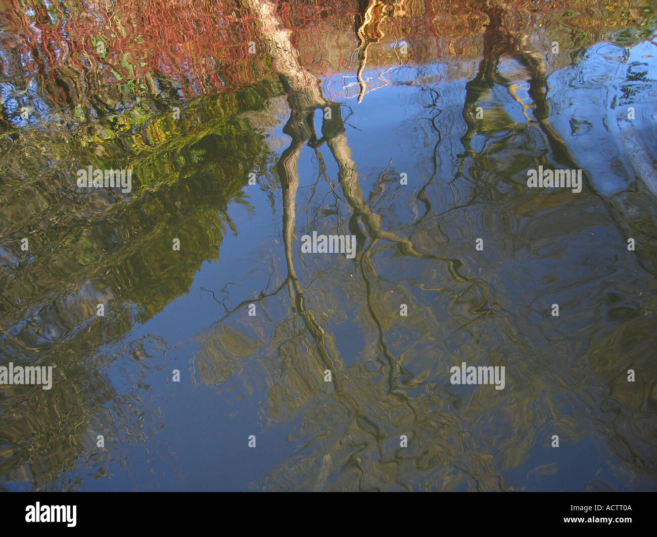 Hampstead heath pond ladies hi-res stock photography and images - Alamy