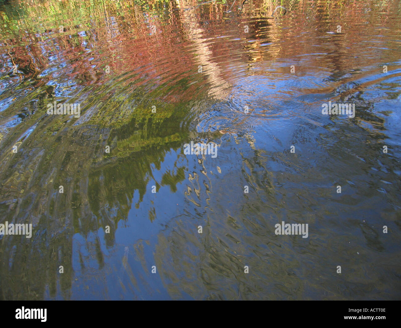 Autumn colours reflected in the still water of Kenwood Ladies Pond ...