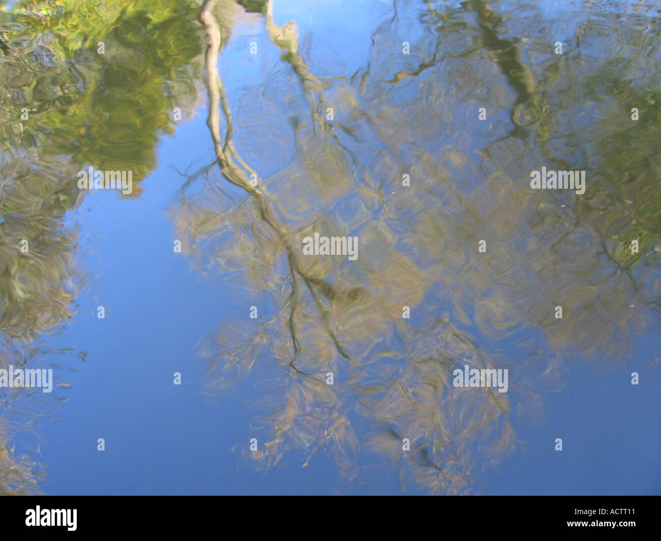 Hampstead heath pond ladies hi-res stock photography and images - Alamy