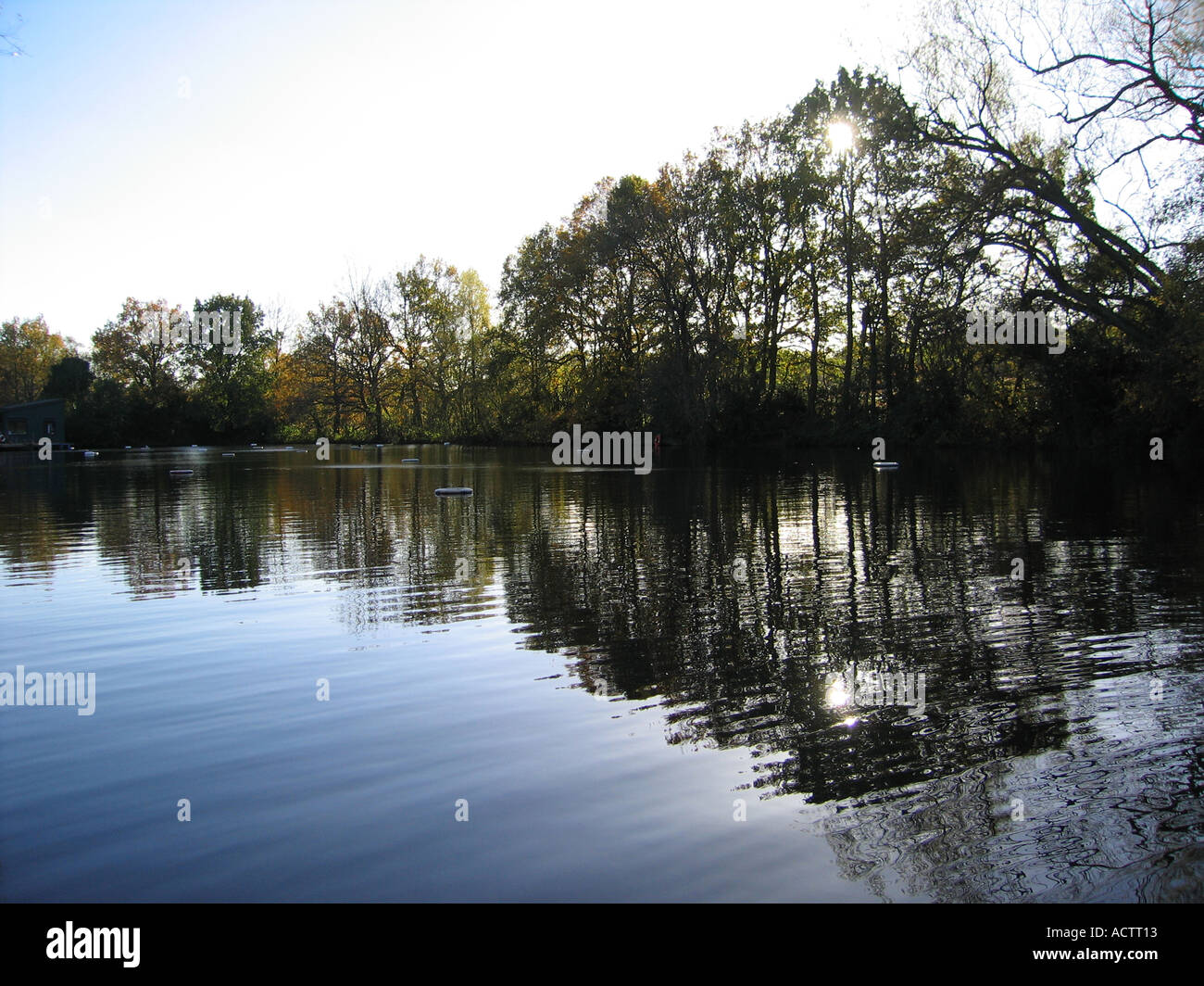 Reflections of the trees and sky of Kenwood Ladies Pond Hampstead Heath ...