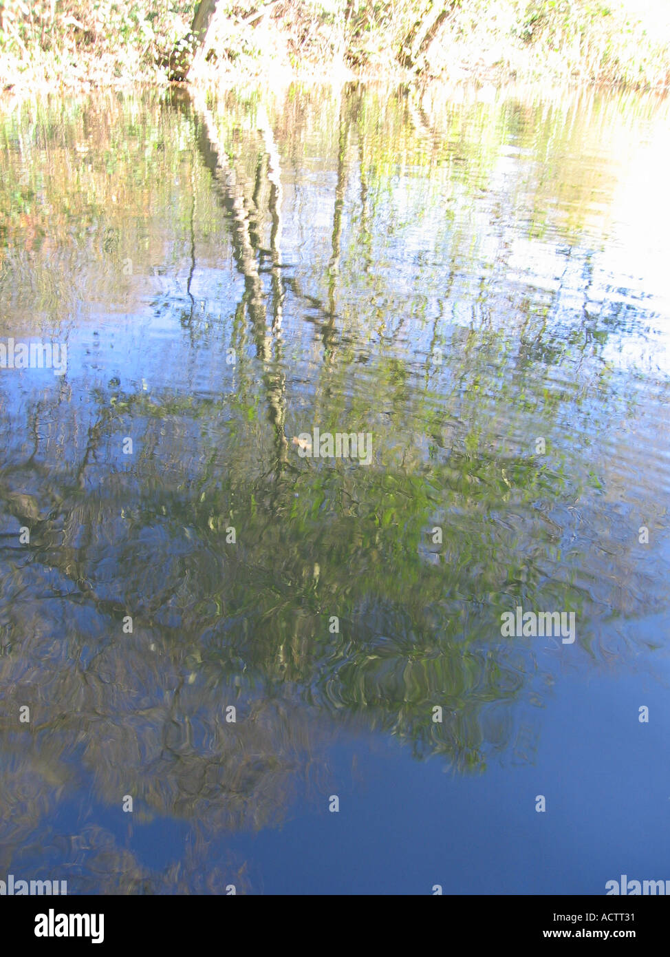 Kenwood ladies' pond hi-res stock photography and images - Alamy