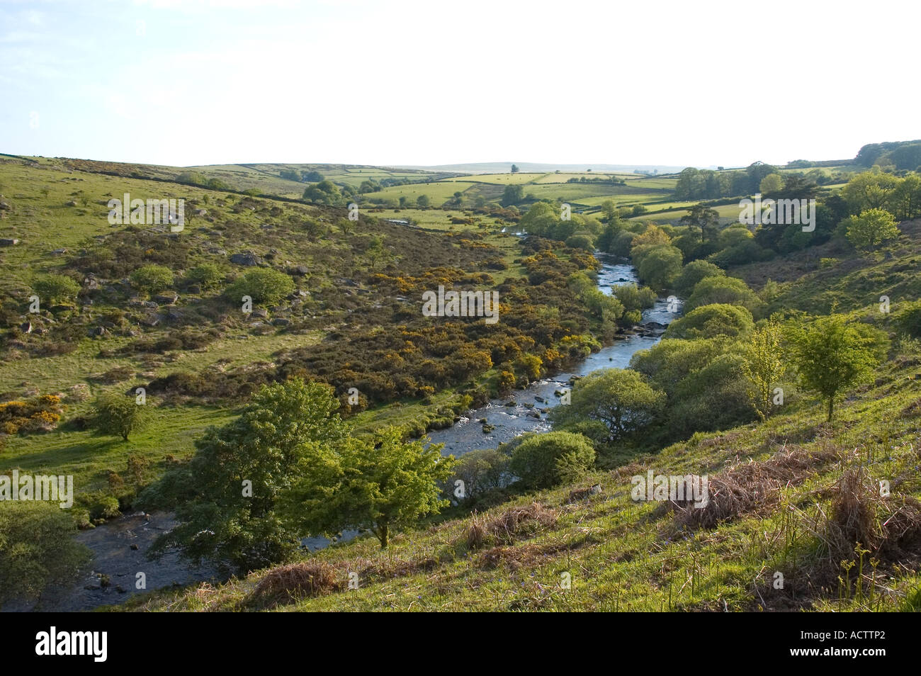 River Dart Dartmoor National Park Devon Great Britain Stock Photo - Alamy
