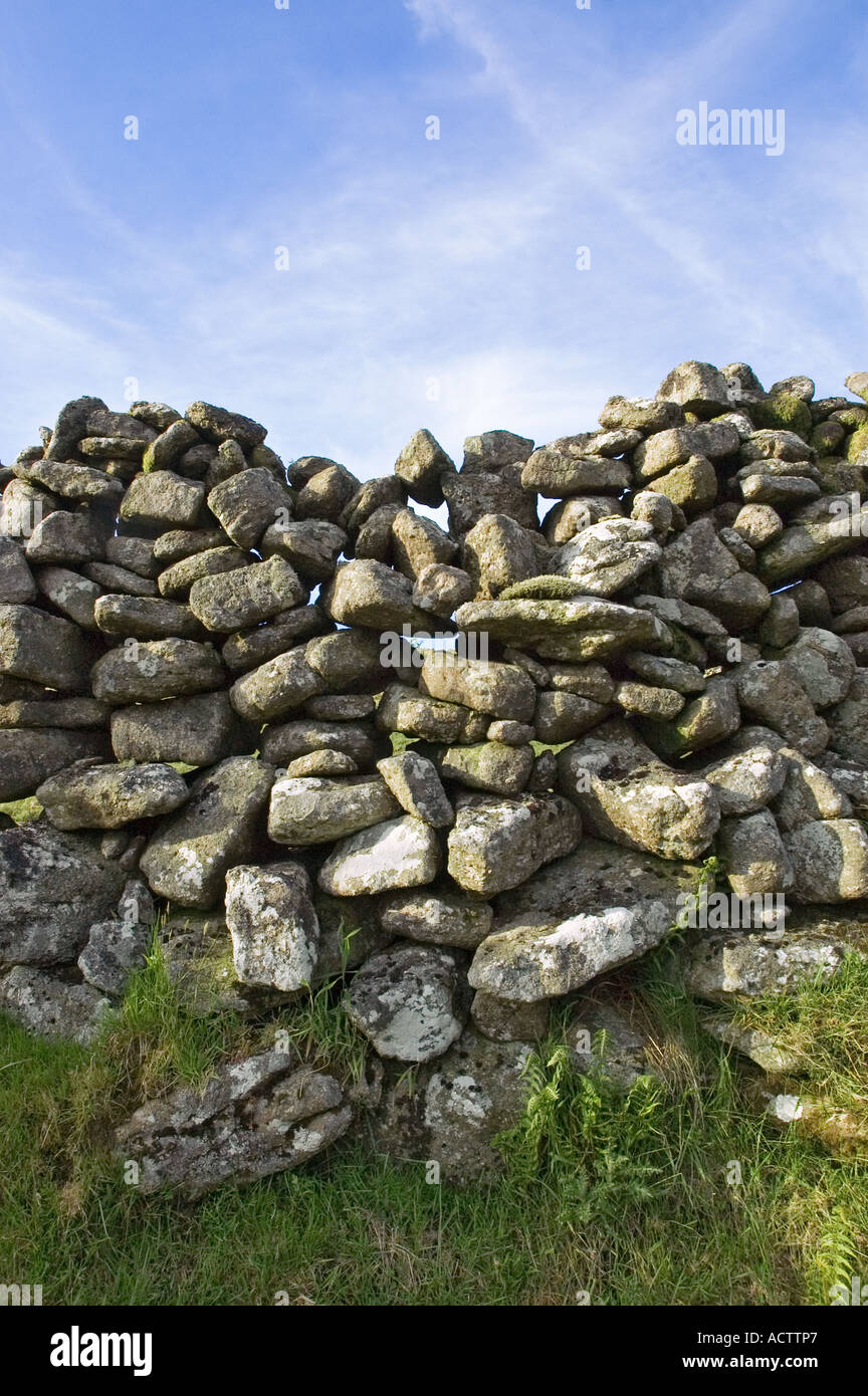 A Dry Stone Wall in Dartmoor National Park, Devon, UK Stock Photo - Alamy