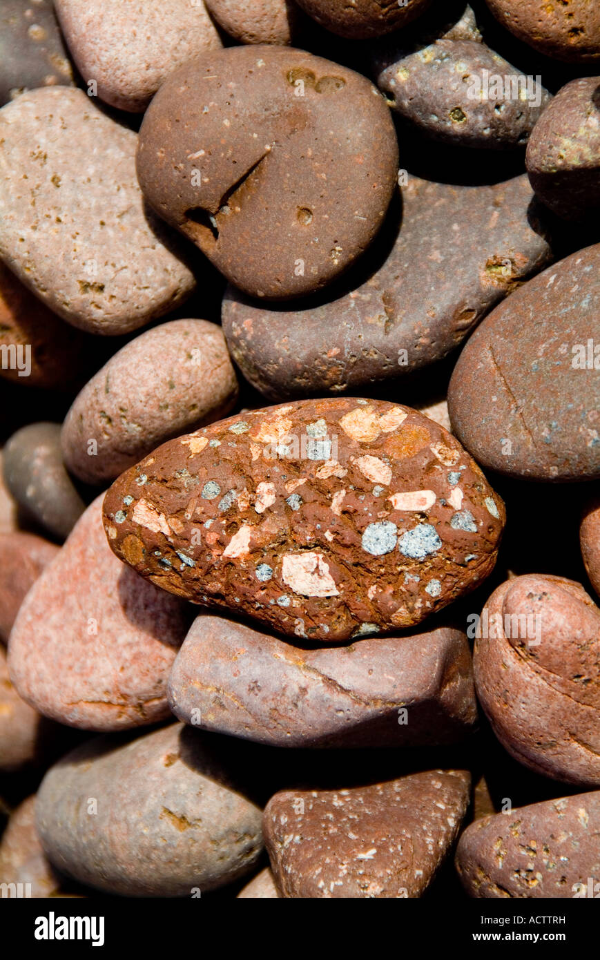 MULTI COLOR PEBBLES Stock Photo - Alamy