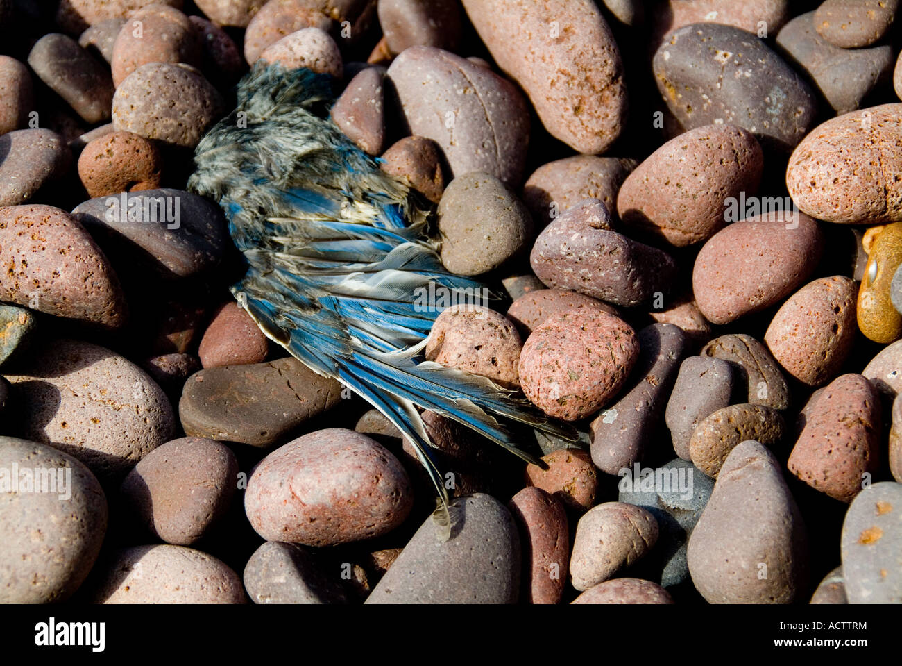 Death dead buried hi-res stock photography and images - Alamy