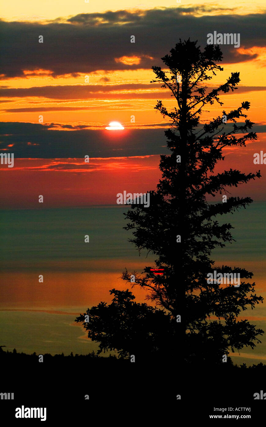 BEAUTIFUL SCENE OF SETTING SUN ON LAKE MICHIGAN AND A SILHOUETTED PINE ...