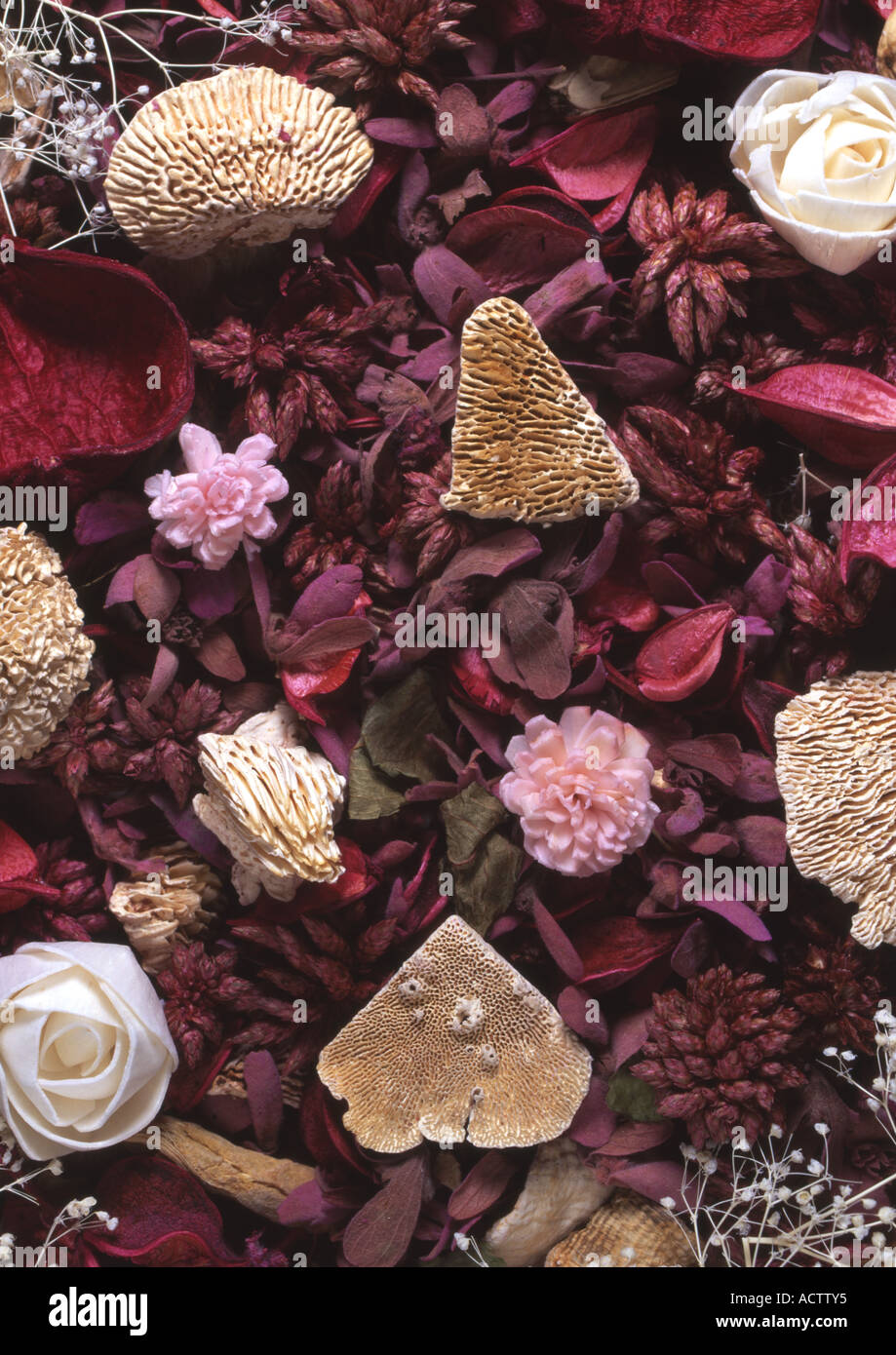 Pot pourri pattern hi-res stock photography and images - Alamy