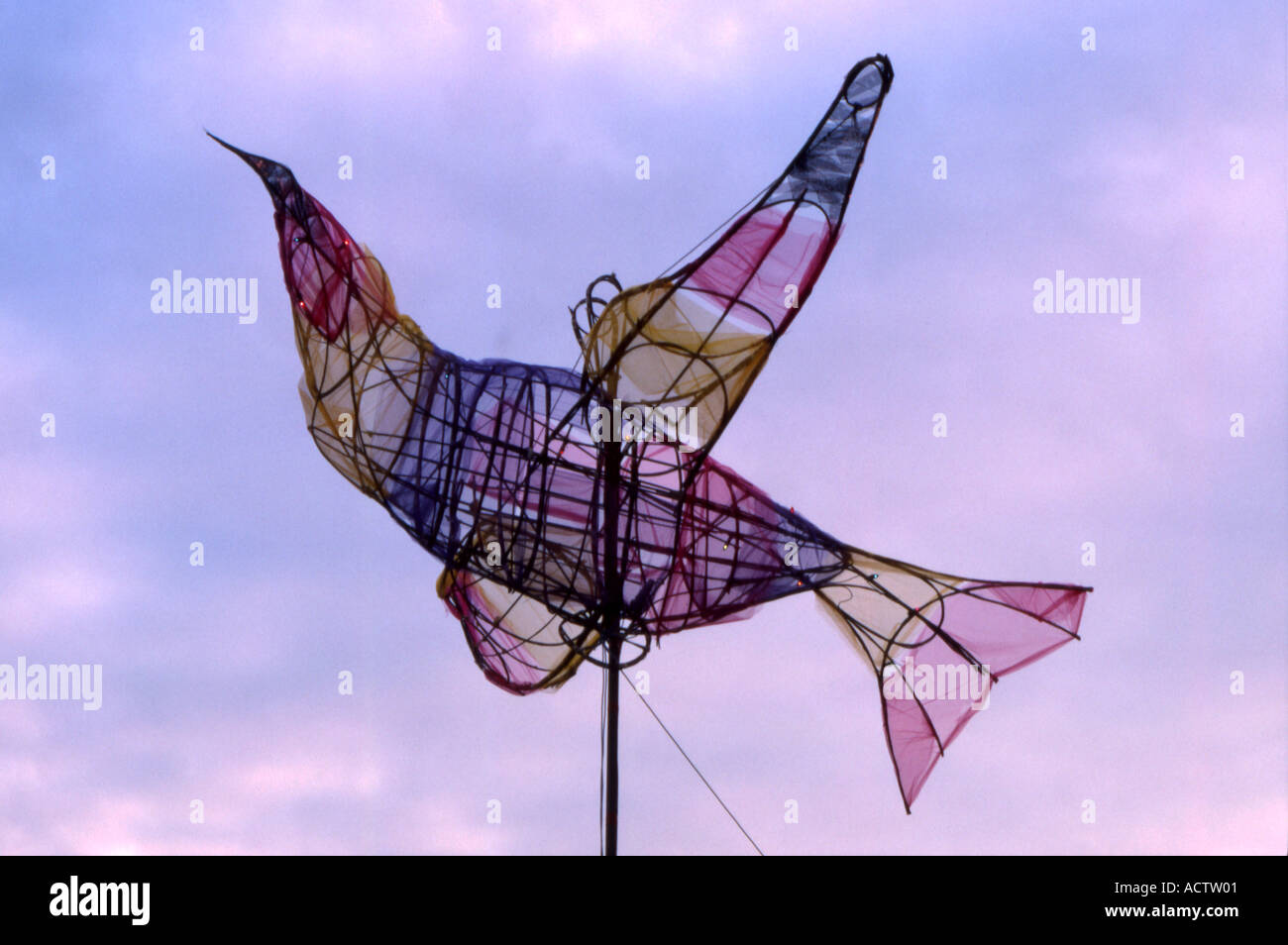 carnival bird, WOMAD, Reading, Berkshire, England Stock Photo - Alamy