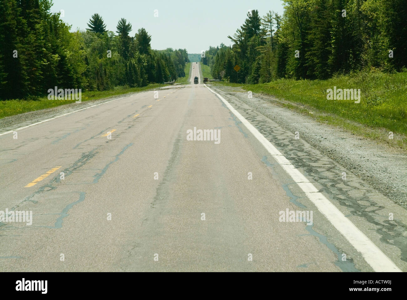 A LONG ROAD LINED WITH BEAUTIFUL GREEN TREES Stock Photo - Alamy