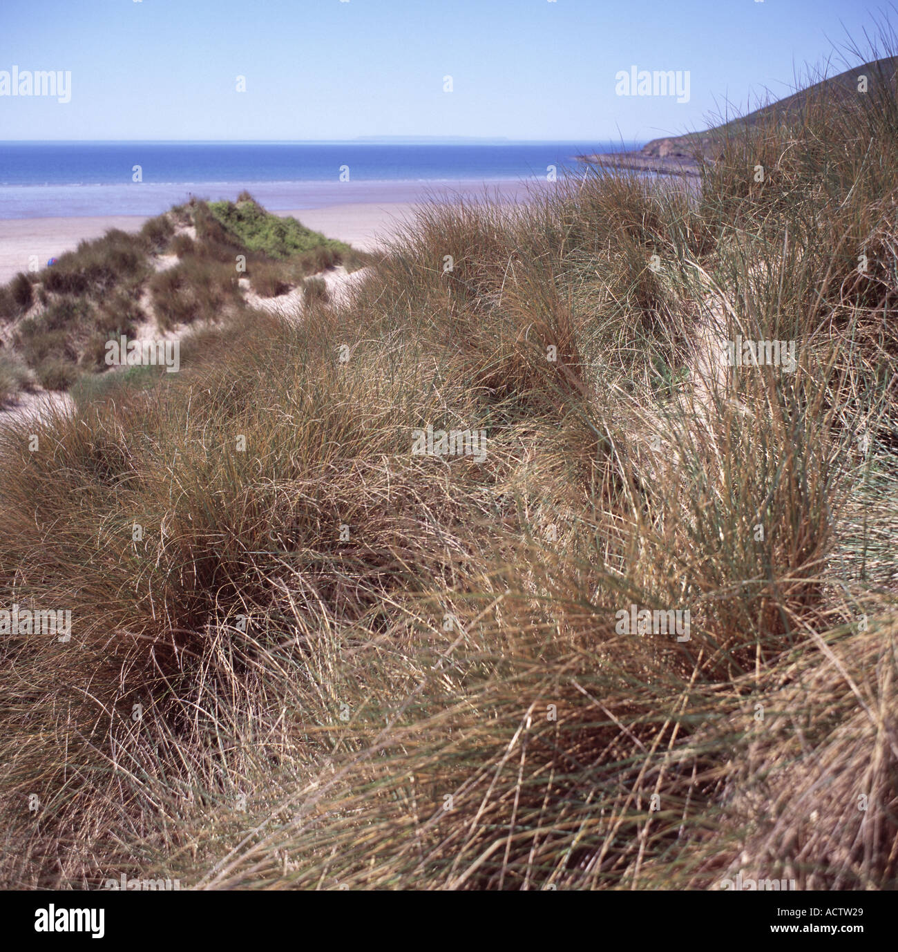 SAUNTON BEACH UK UNESCO protected nature reserve in Devon Photo by ...