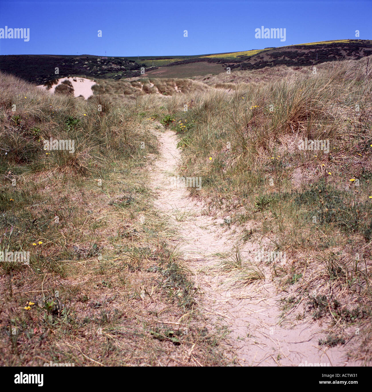 Braunton Burrows, Devon; The UNESCO protected sand dunes edge Saunton ...