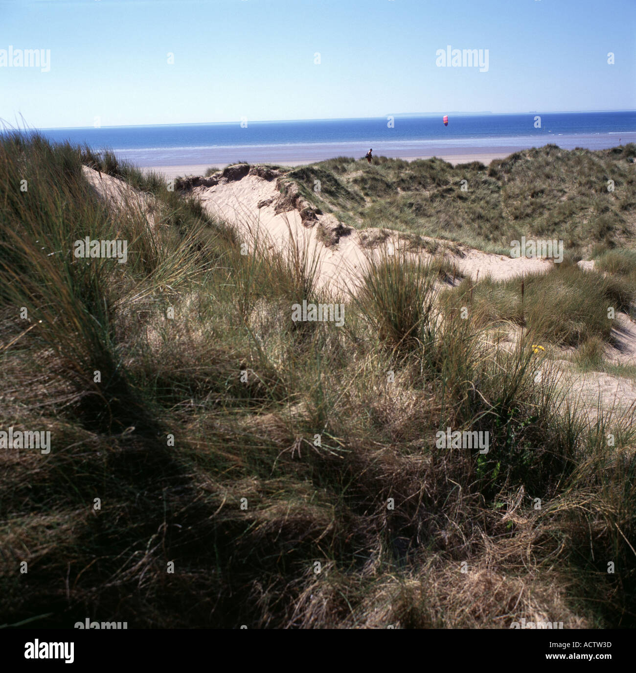 Braunton Burrows, Devon; The UNESCO protected sand dunes edge Saunton ...